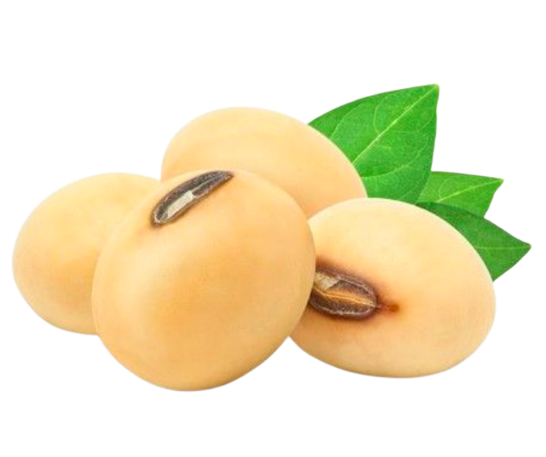 Organic-Soybean-Meal - AMRIOS